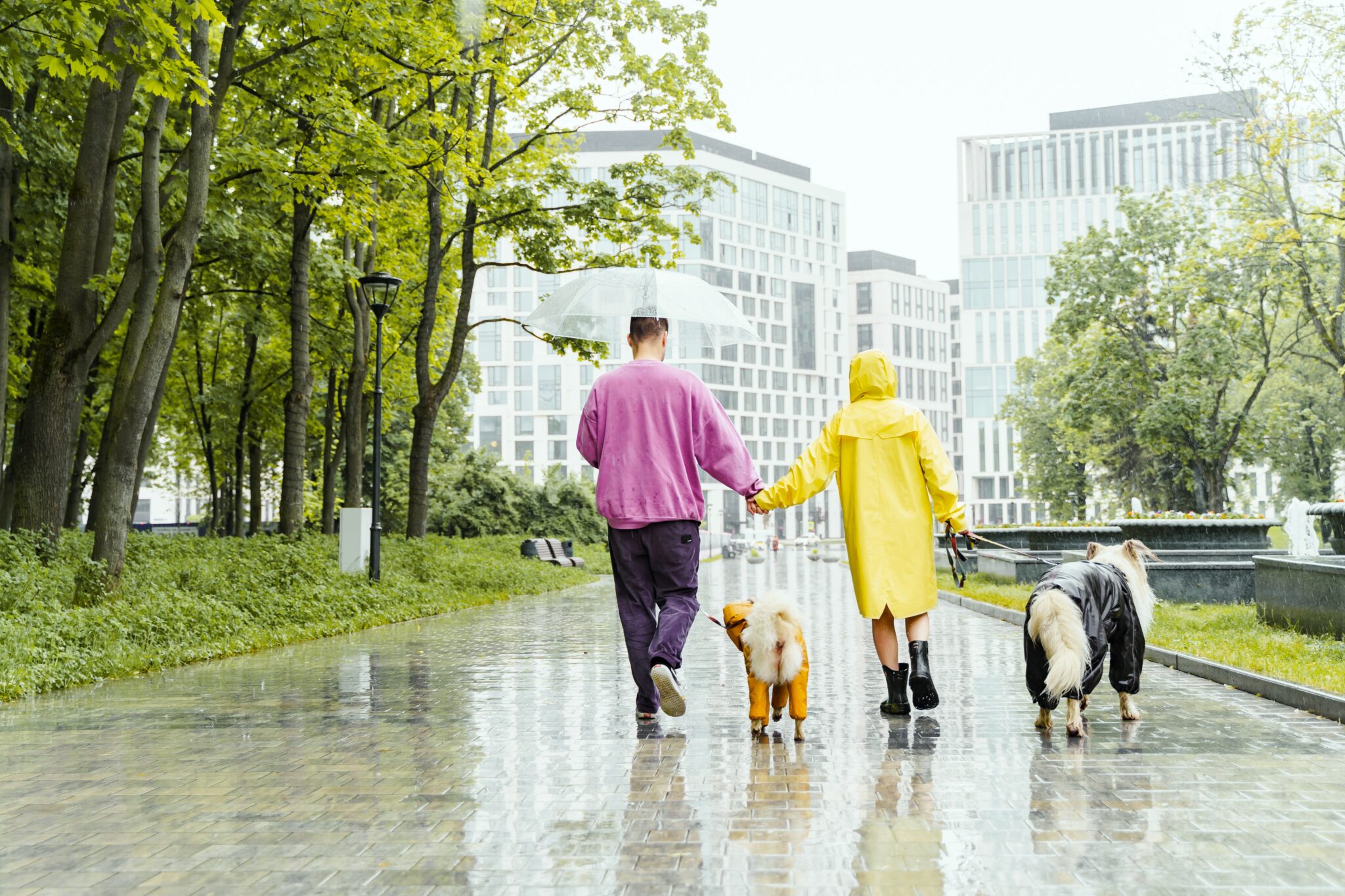 Mindful walking: simple steps to boost your mood – Pantea Rahimian
