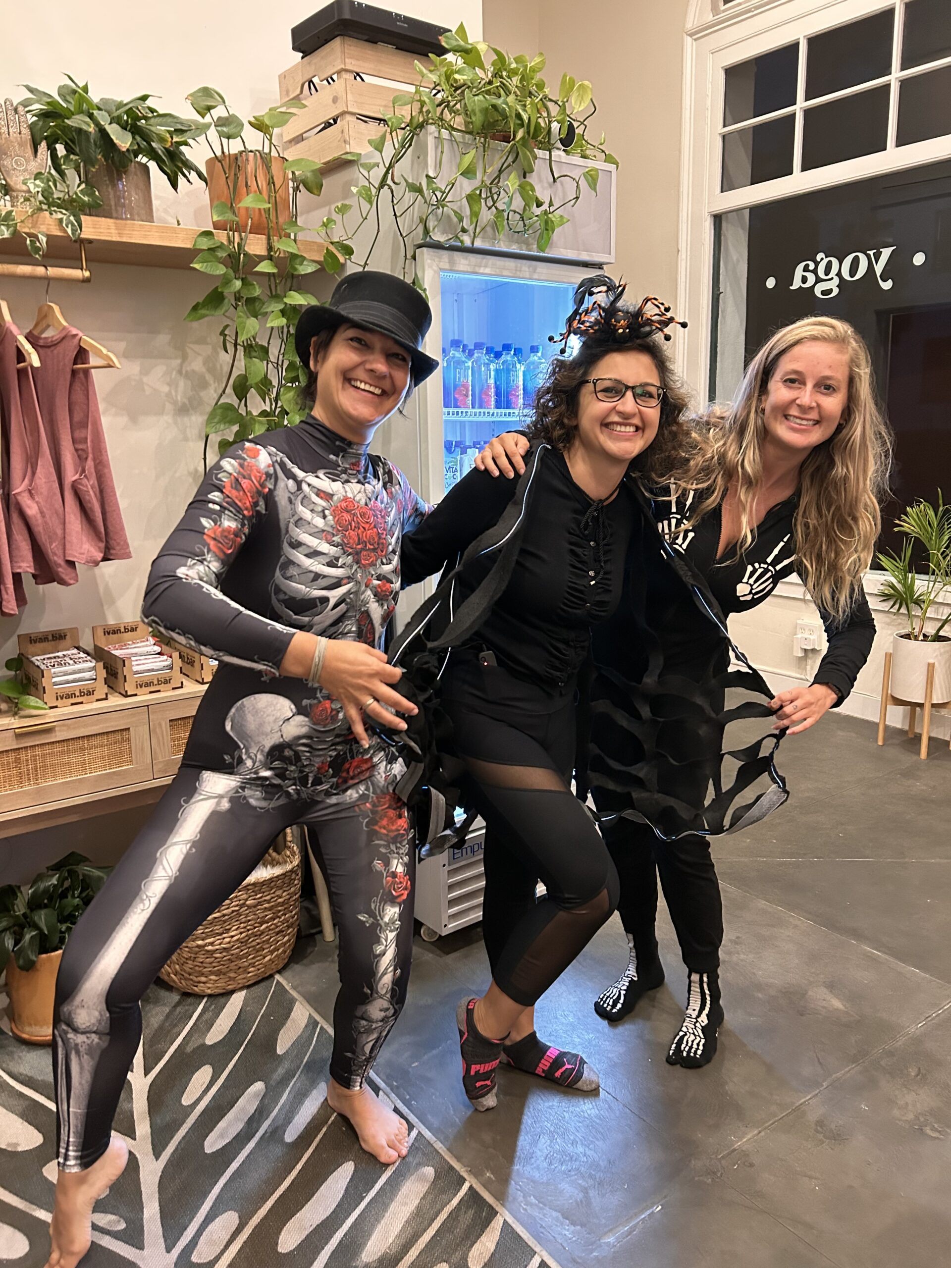 Everything you ever wanted to know about Sol Seek Yoga Santa Barbara – Pantea Rahimian