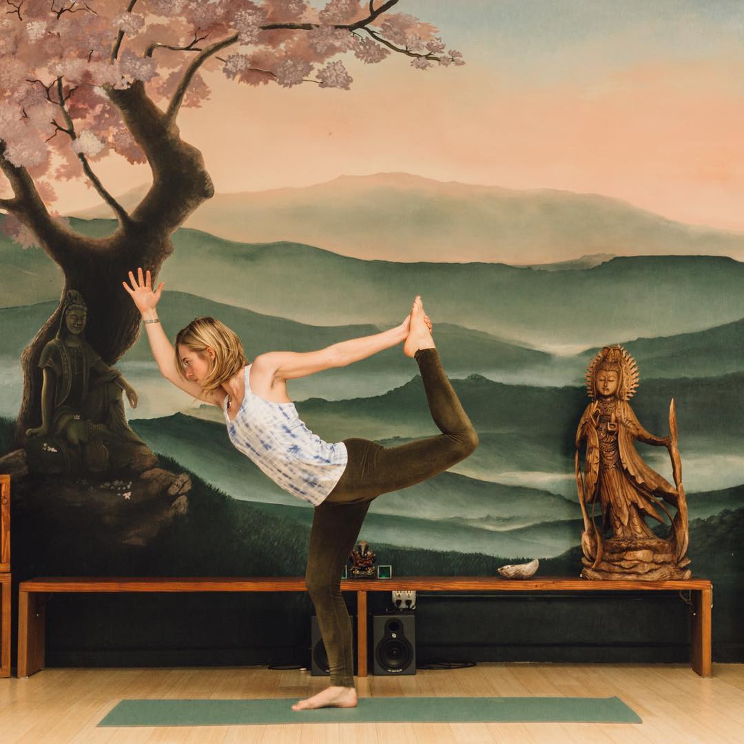 Everything you ever wanted to know about Sol Seek Yoga Santa Barbara ...
