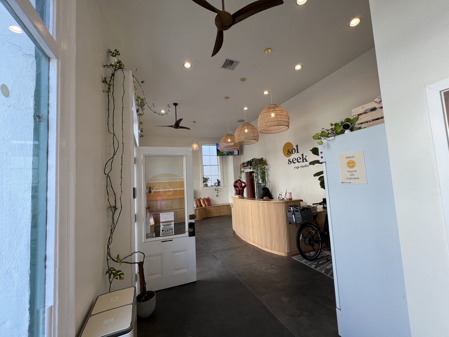 Everything you ever wanted to know about Sol Seek Yoga Santa Barbara – Pantea Rahimian